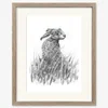Turning Hare — Nolon Stacey