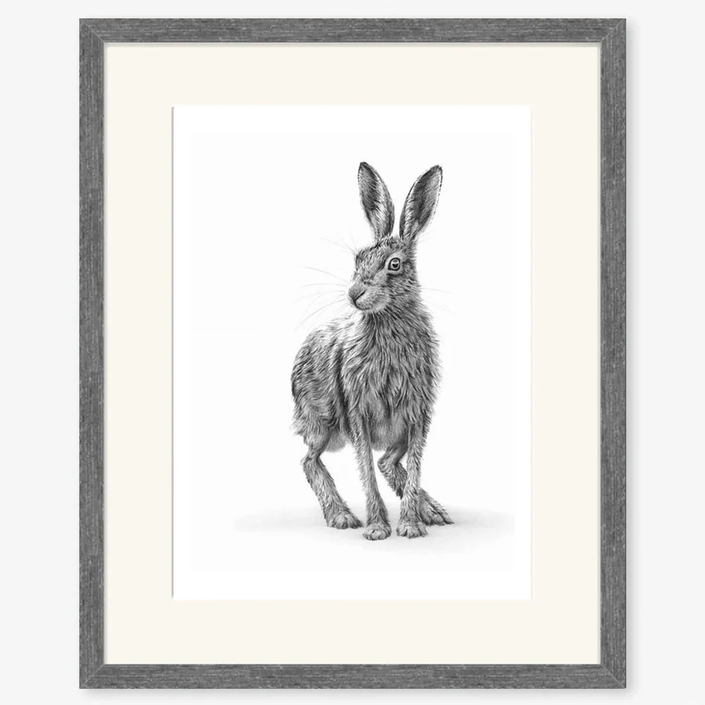 Turning Hare — Nolon Stacey