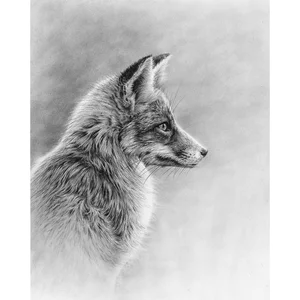 Originals — Nolon Stacey