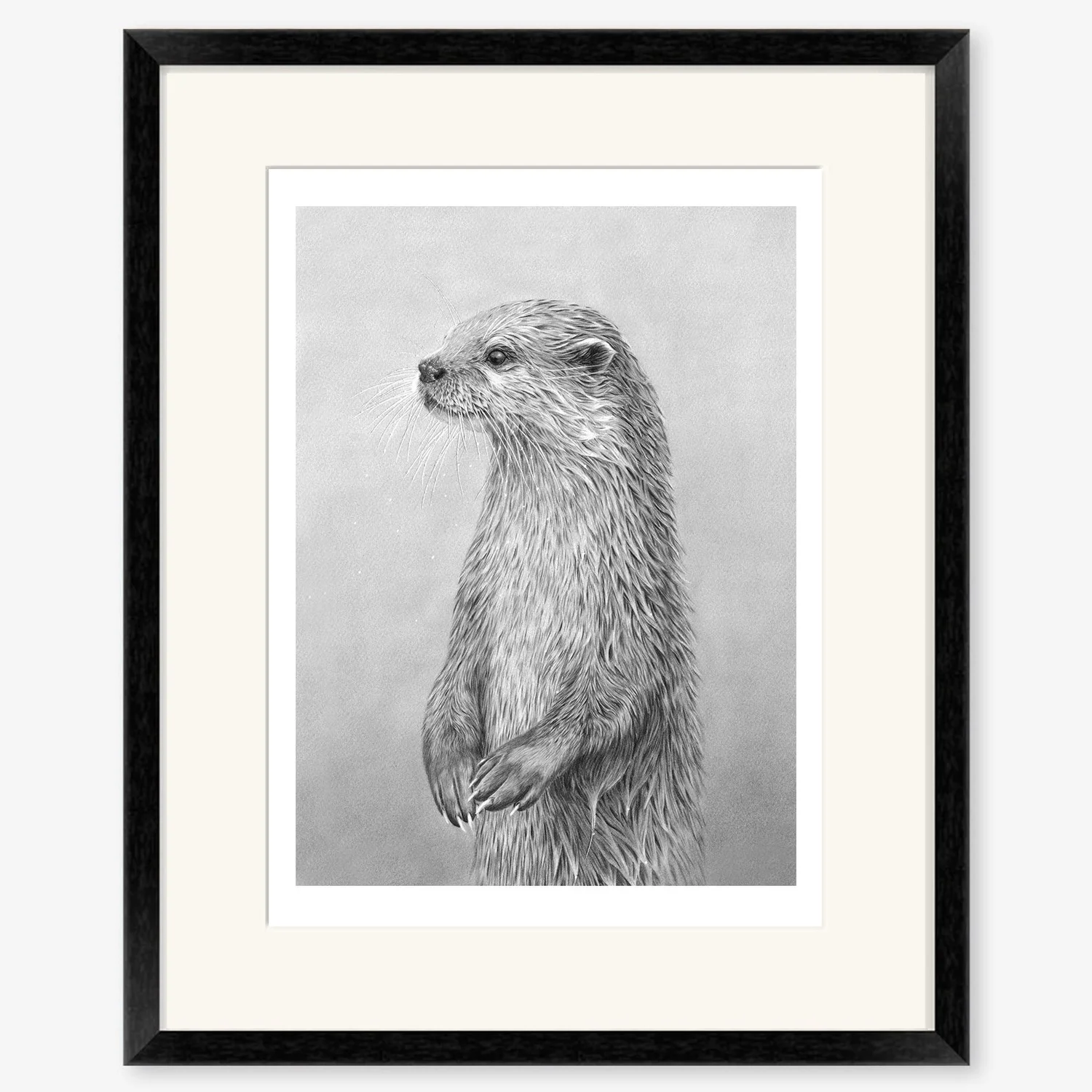 Red Fox — Nolon Stacey