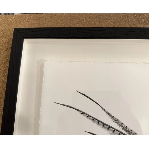 Originals — Nolon Stacey