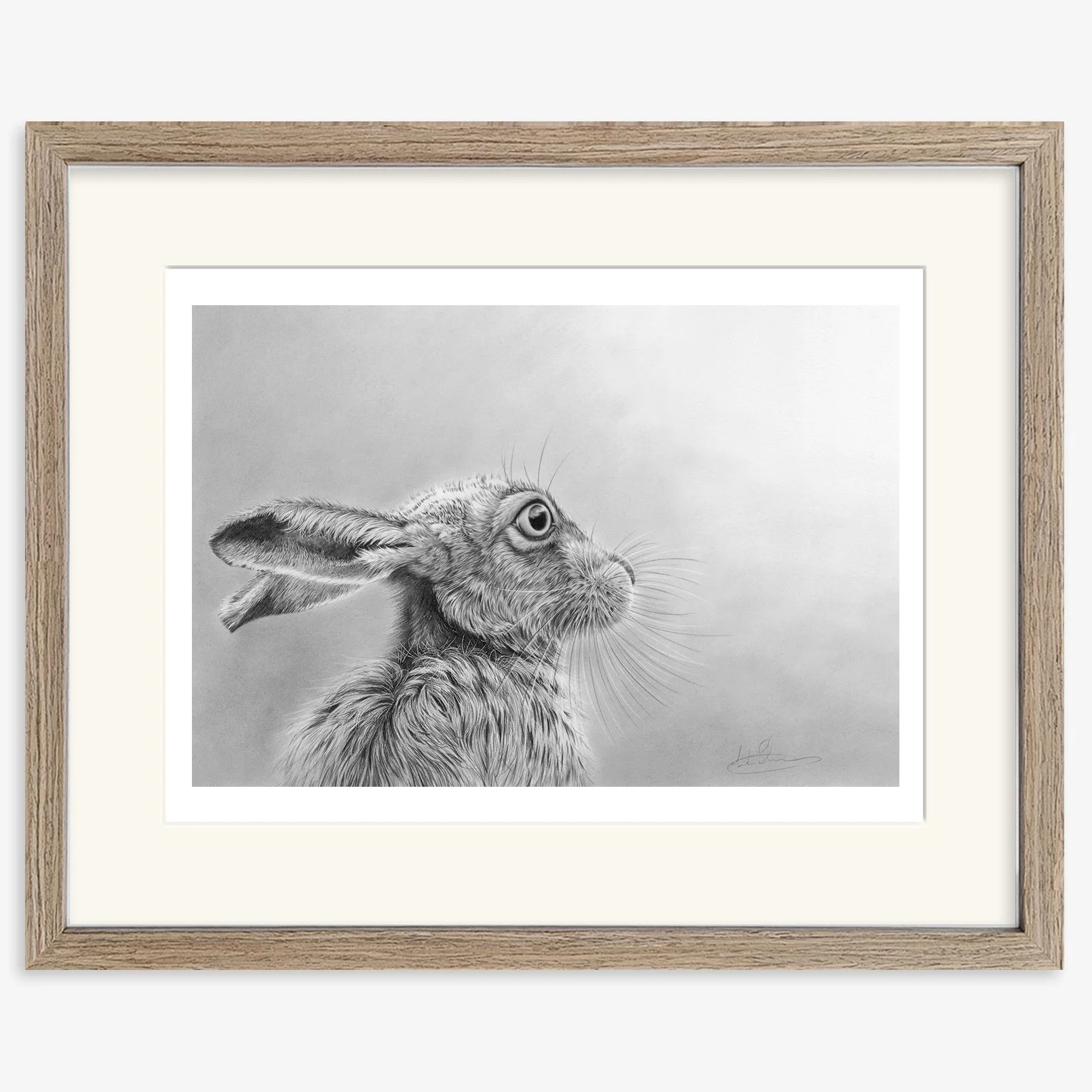 Turning Hare — Nolon Stacey