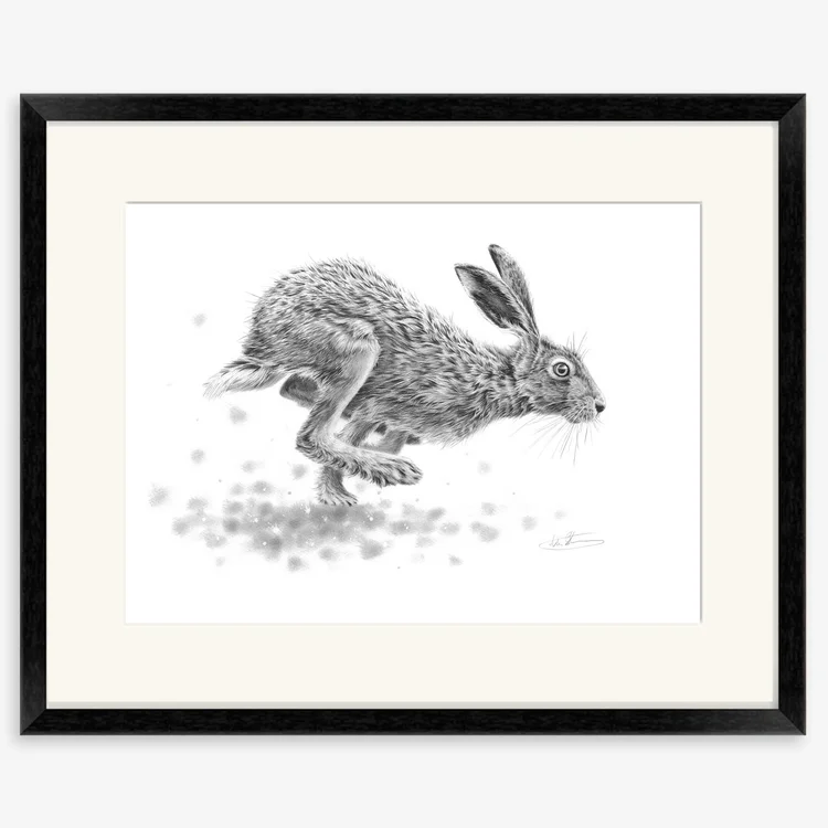 Hare Looking Back — Nolon Stacey