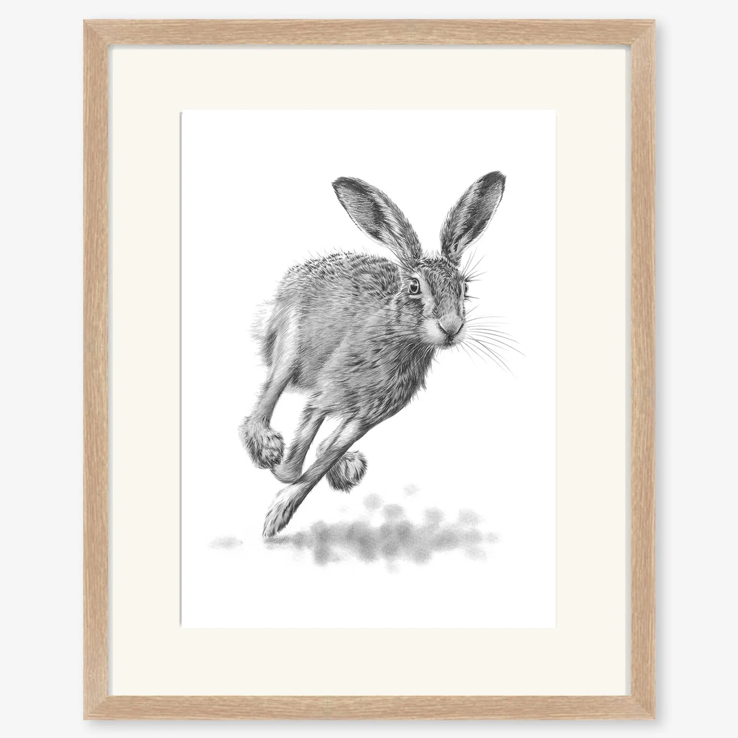 Hare Looking Back — Nolon Stacey