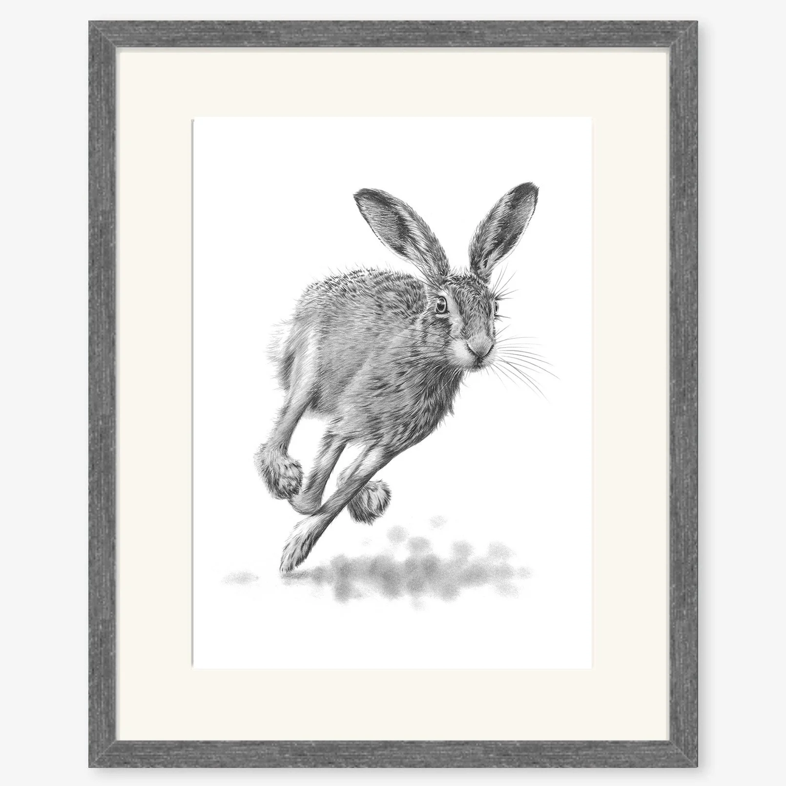 Hare Looking Back — Nolon Stacey