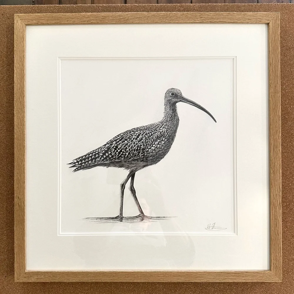 Originals — Nolon Stacey