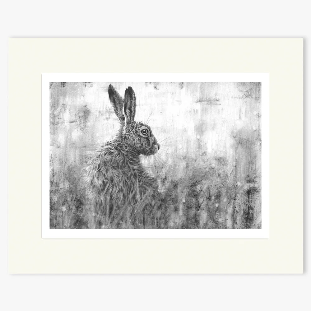 Turning Hare — Nolon Stacey