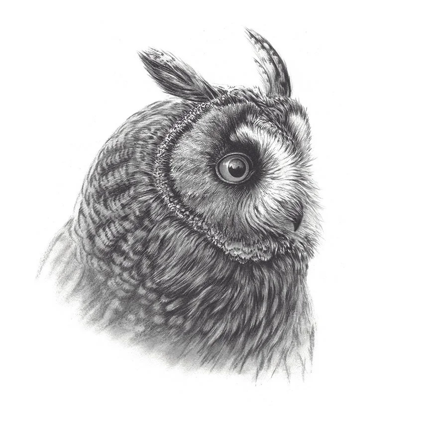 Greetings Cards — Nolon Stacey