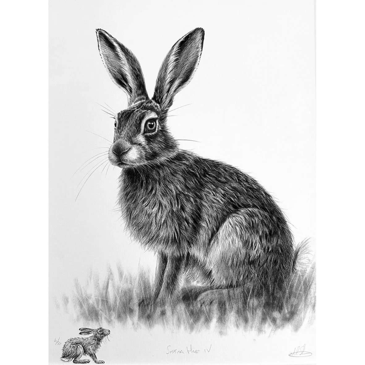 All Prints — Nolon Stacey