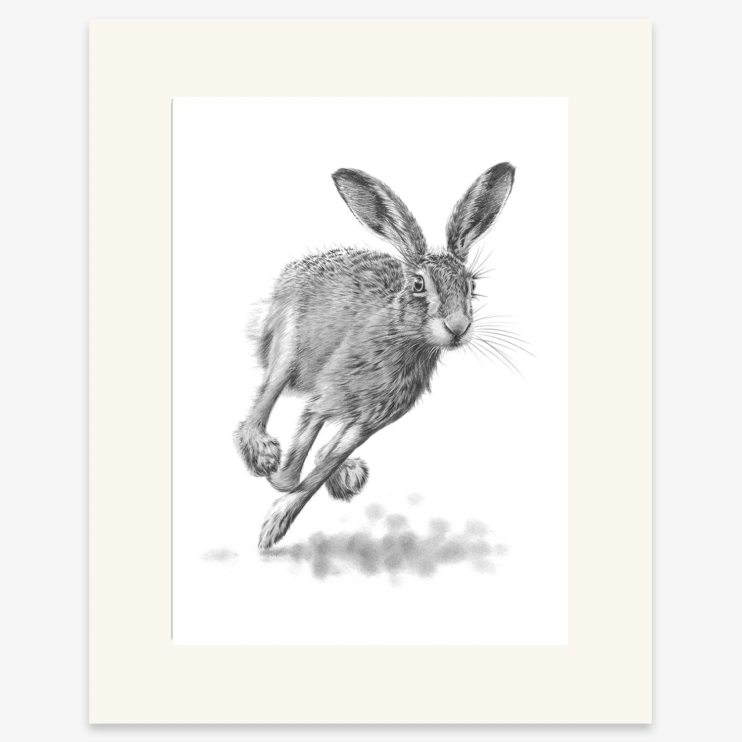Hare Looking Back — Nolon Stacey