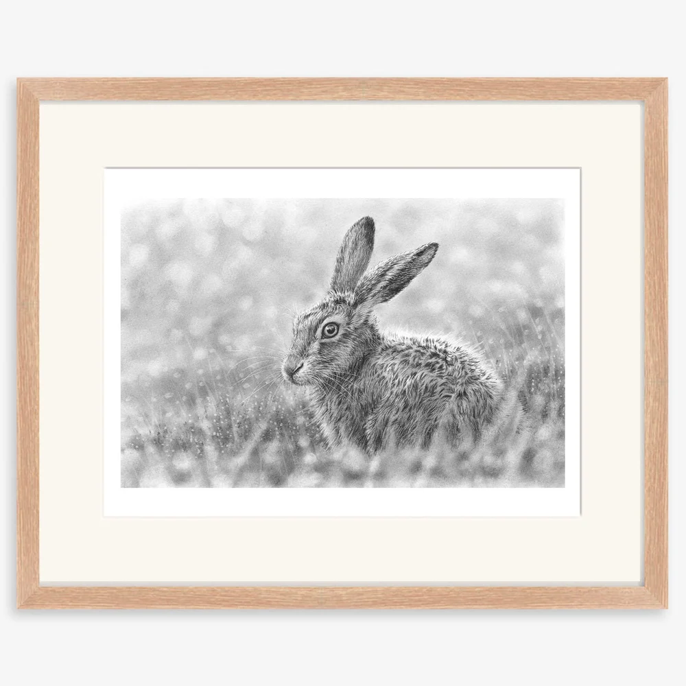 Hare Looking Back — Nolon Stacey