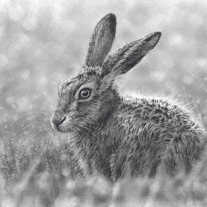 Greetings Cards — Nolon Stacey