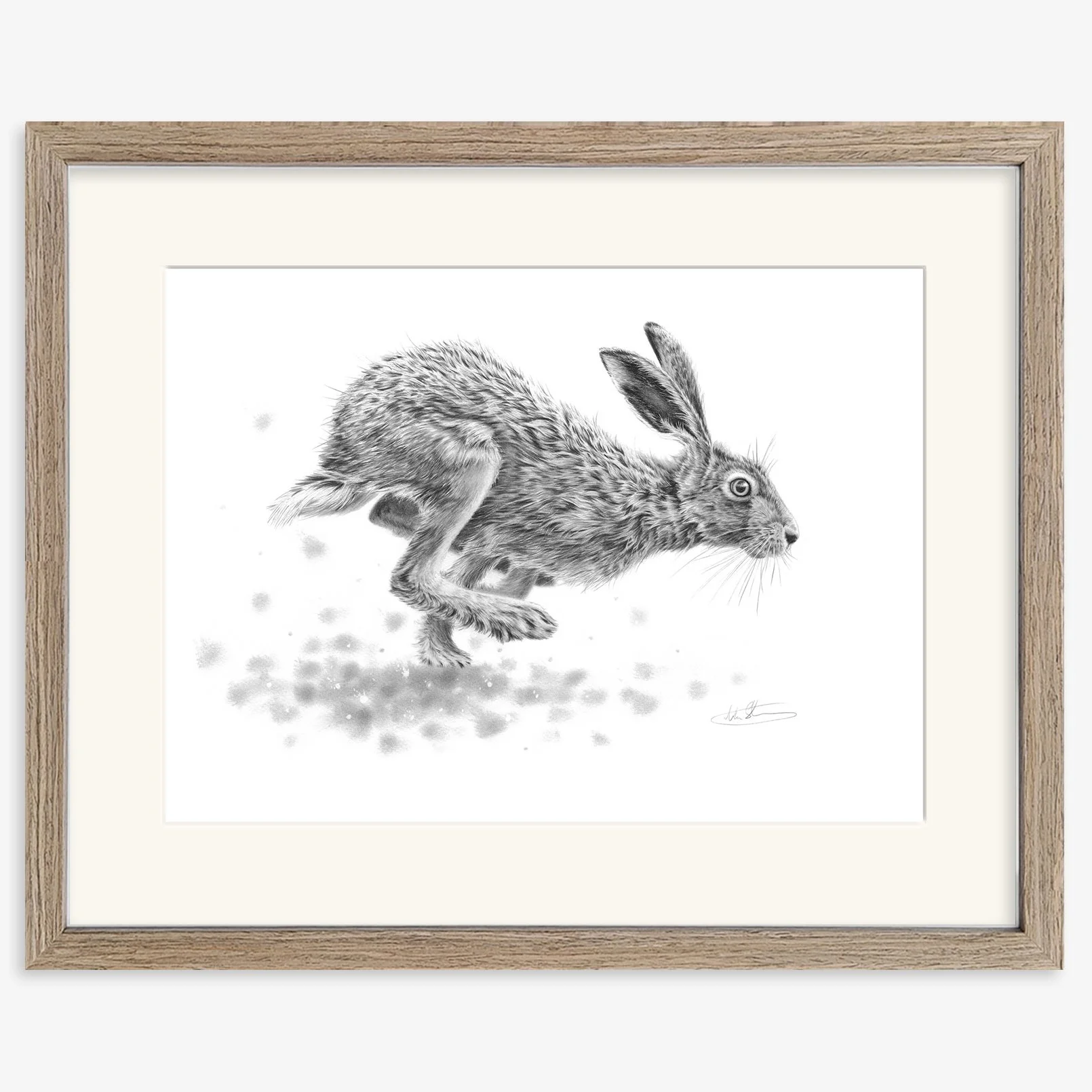 Hare Looking Back — Nolon Stacey