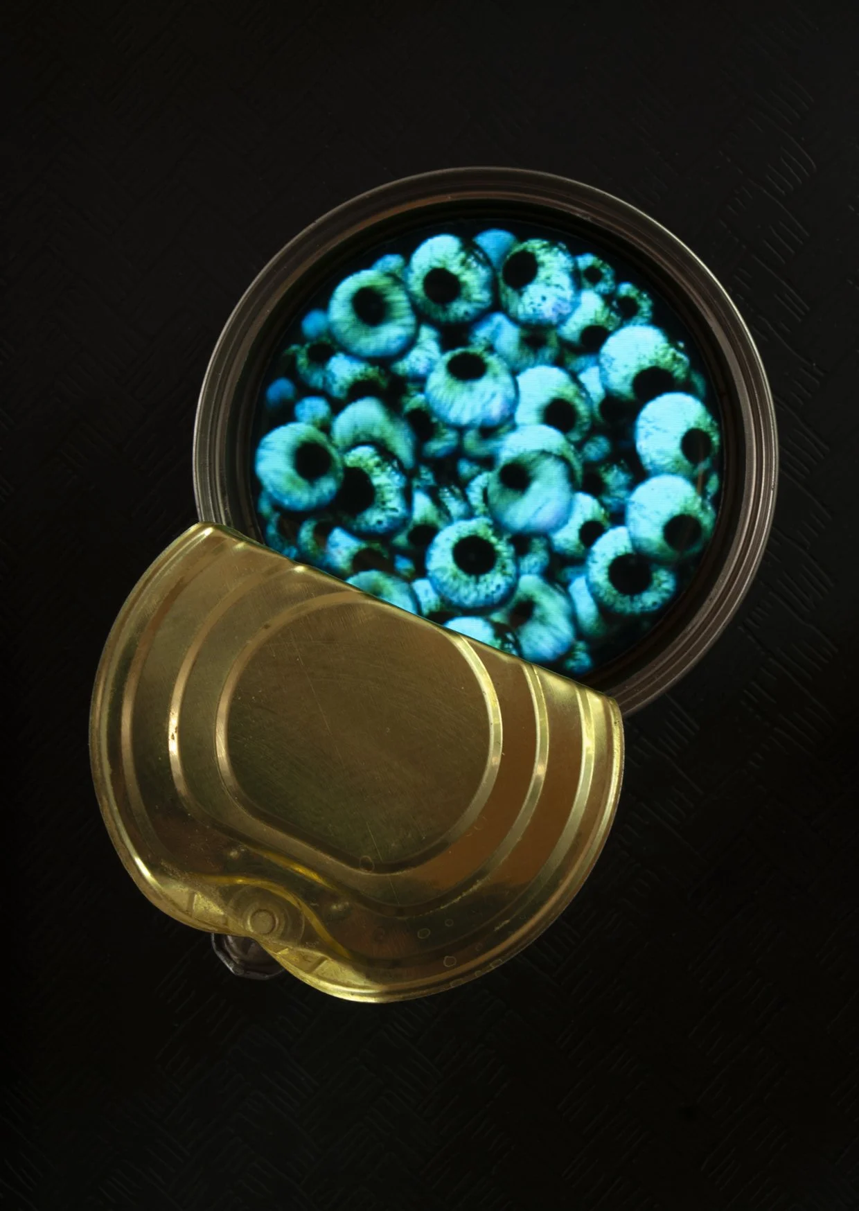 Exhibitions — Frédérick Mouraux Gallery