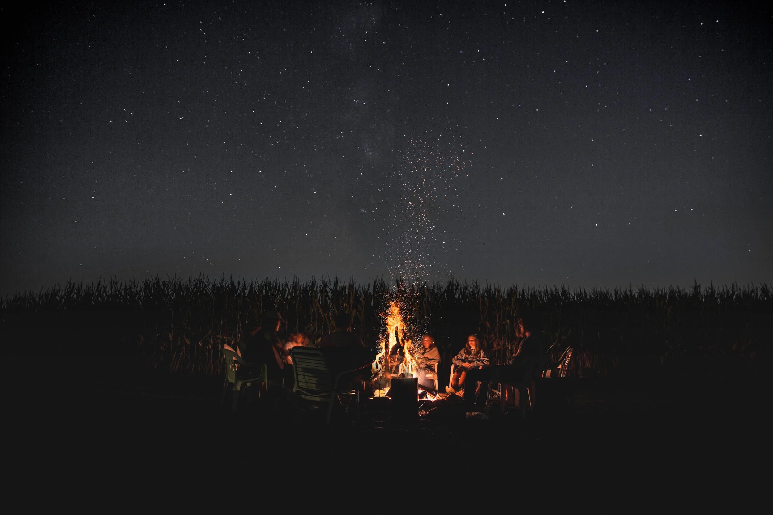 Digital Campfire Signup – Ali — Force For Nature