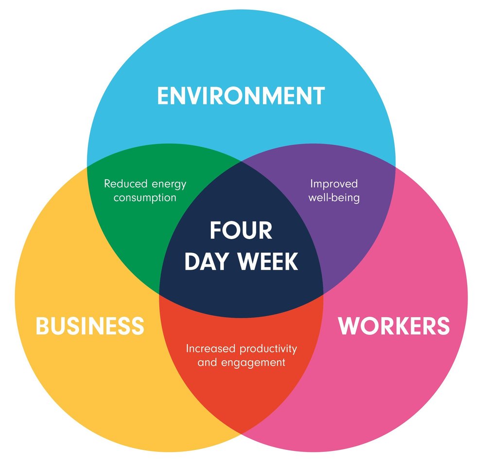 News — META Consulting