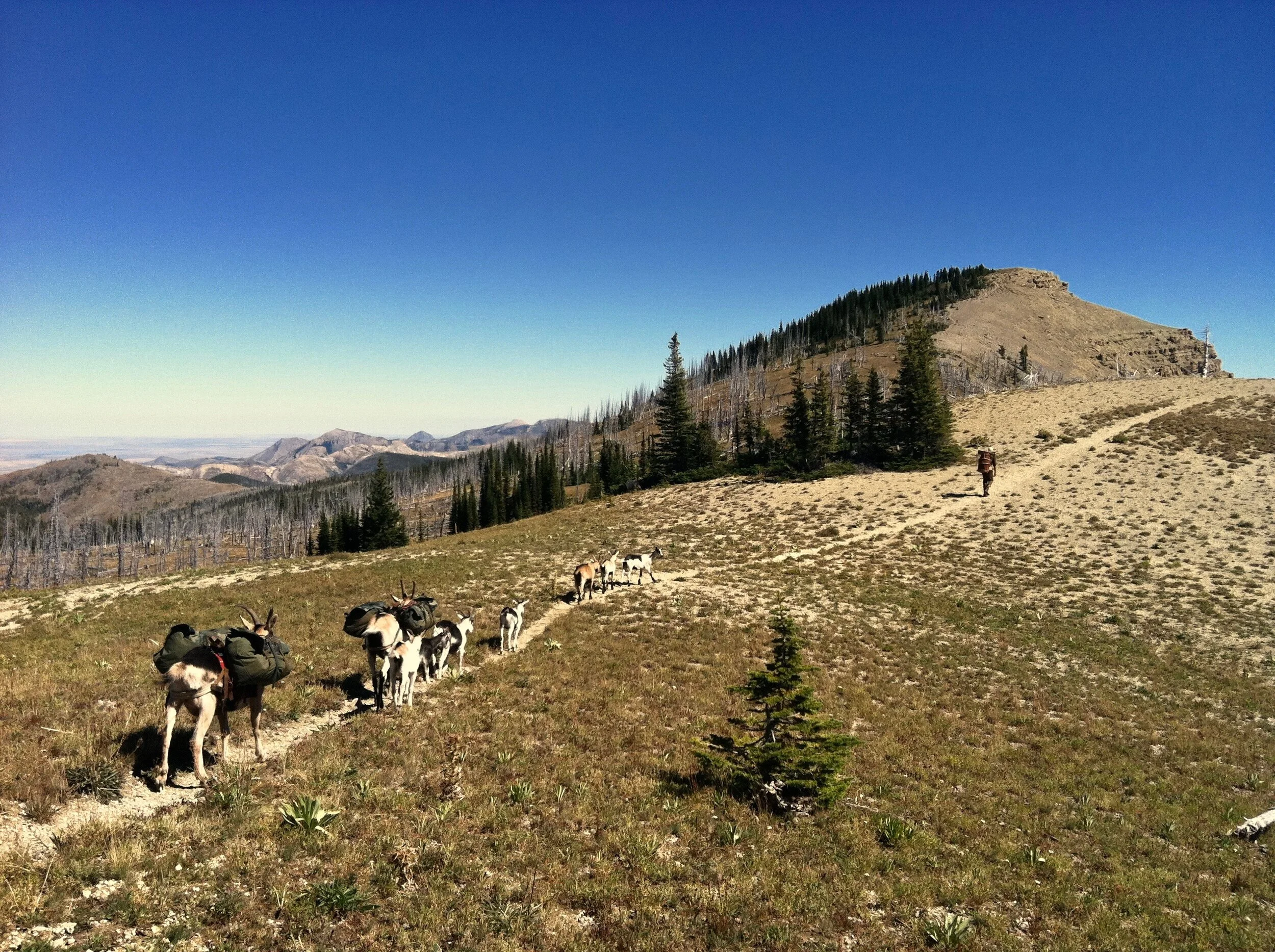 Alone Experience — Callie Russell