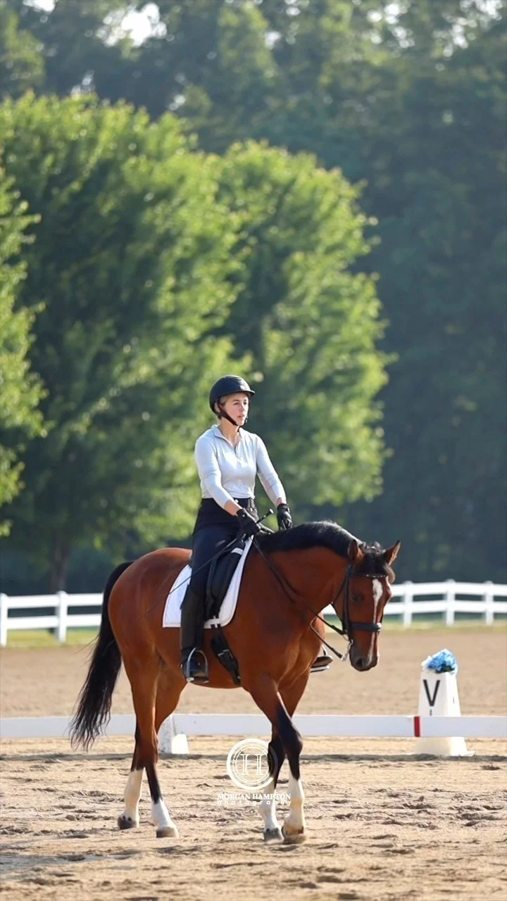 Morgan Hampton Photography | Equestrian Photography