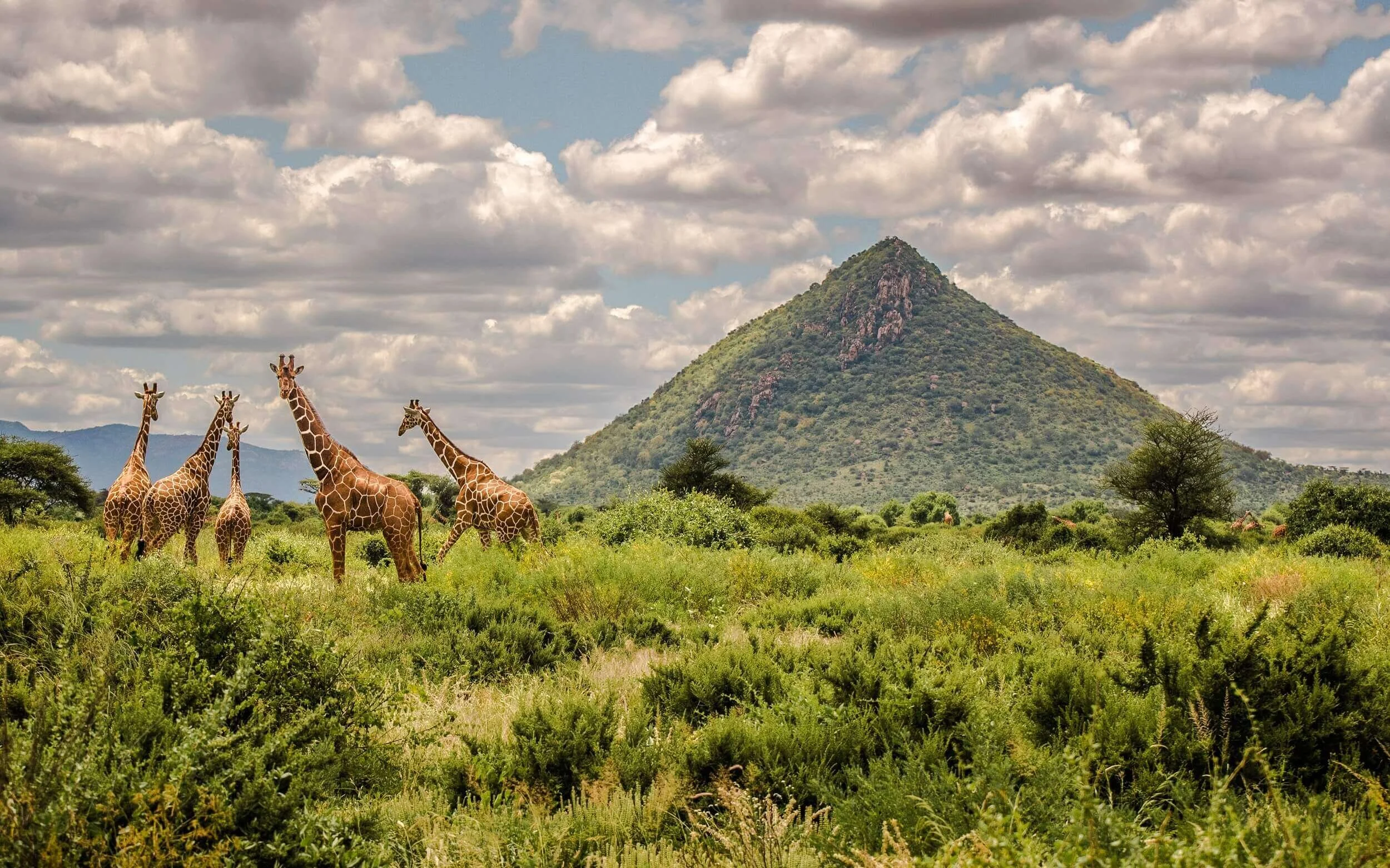 People, Wildlife, Ecosystems: A Return to Africa — Huffman Travel