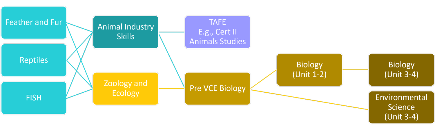 Animals Pathways — TC Subject Selection Handbook