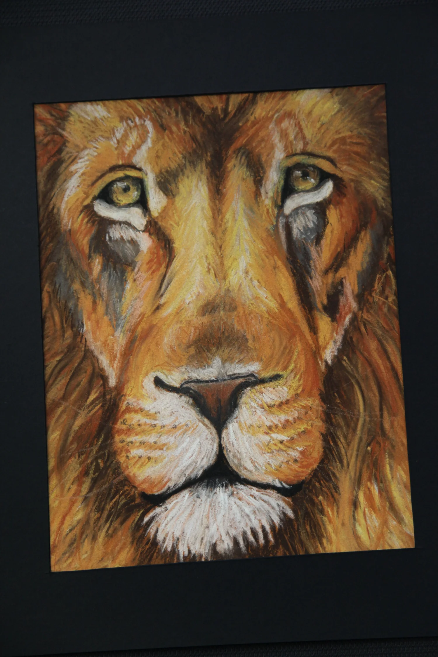 Pre VCE Art Creative Practice — TC Subject Selection Handbook