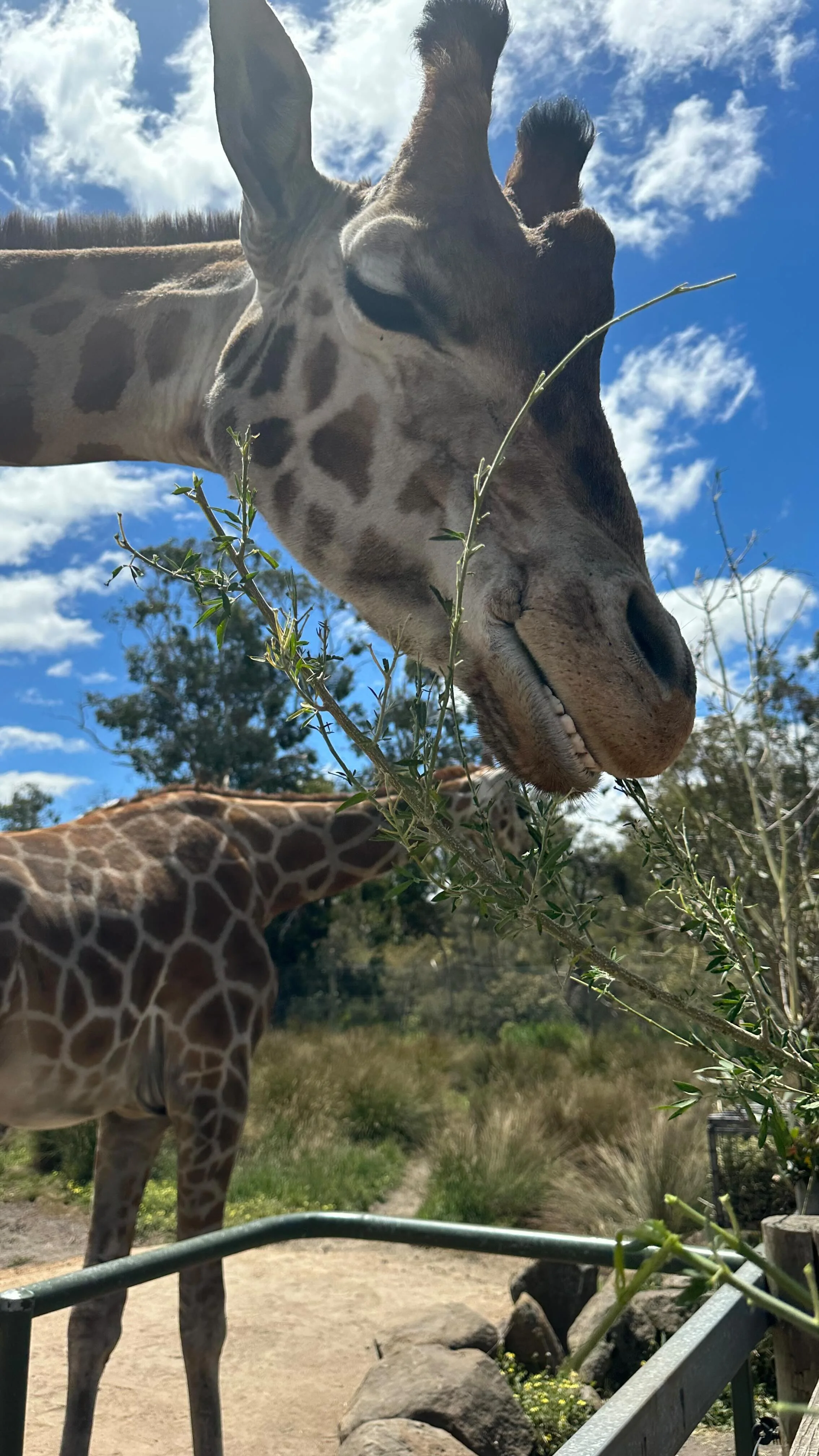 Animal Industry Skills — TC Subject Selection Handbook