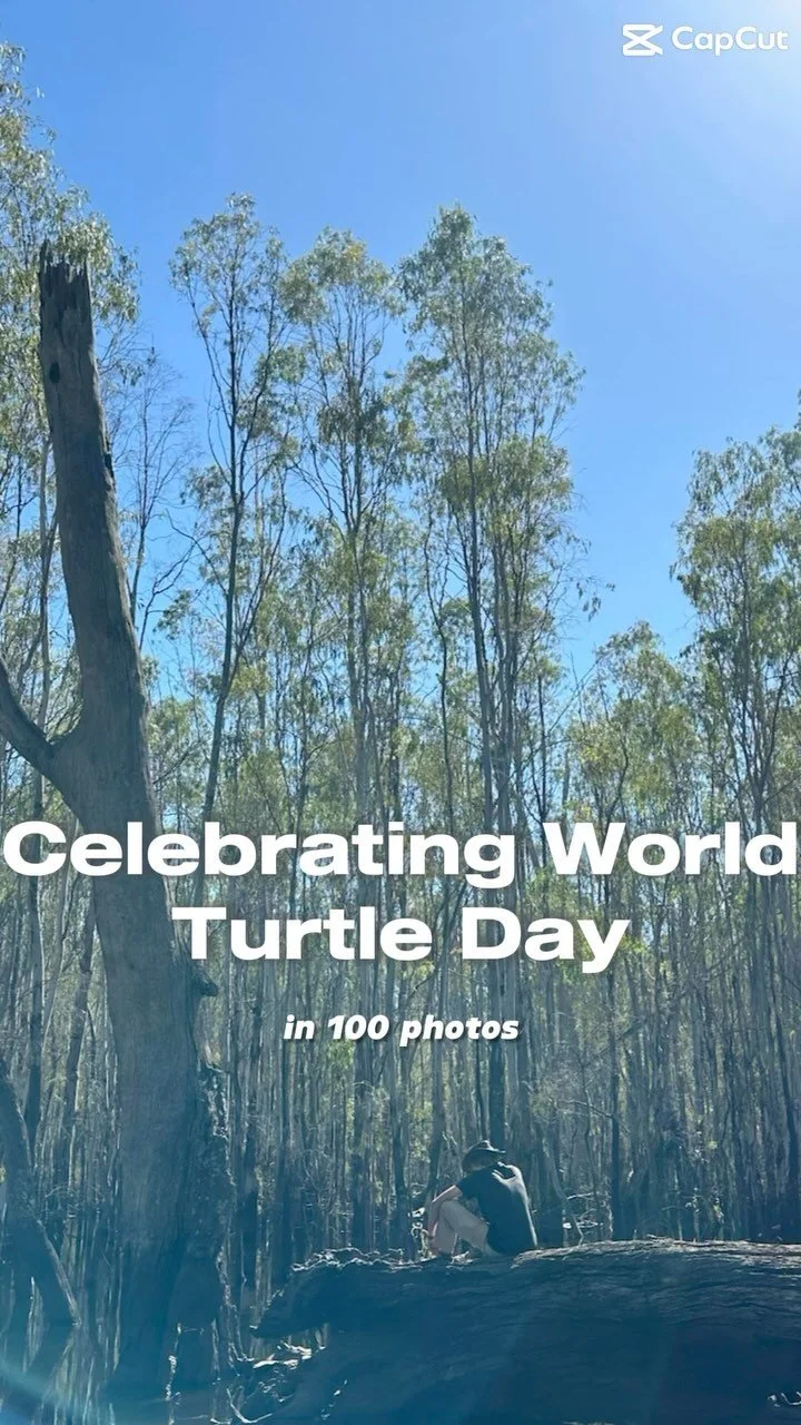 Reptiles — TC Subject Selection Handbook