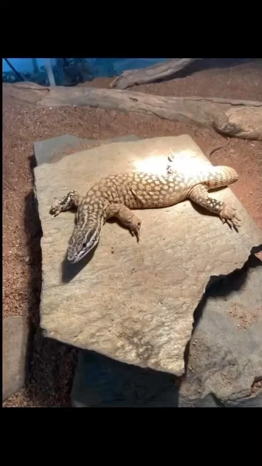 Fish — TC Subject Selection Handbook