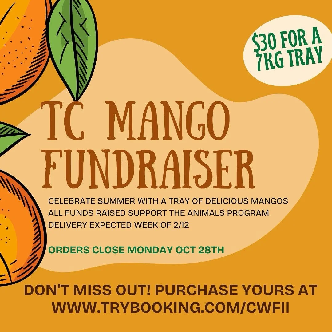 Feathers and Fur — TC Subject Selection Handbook