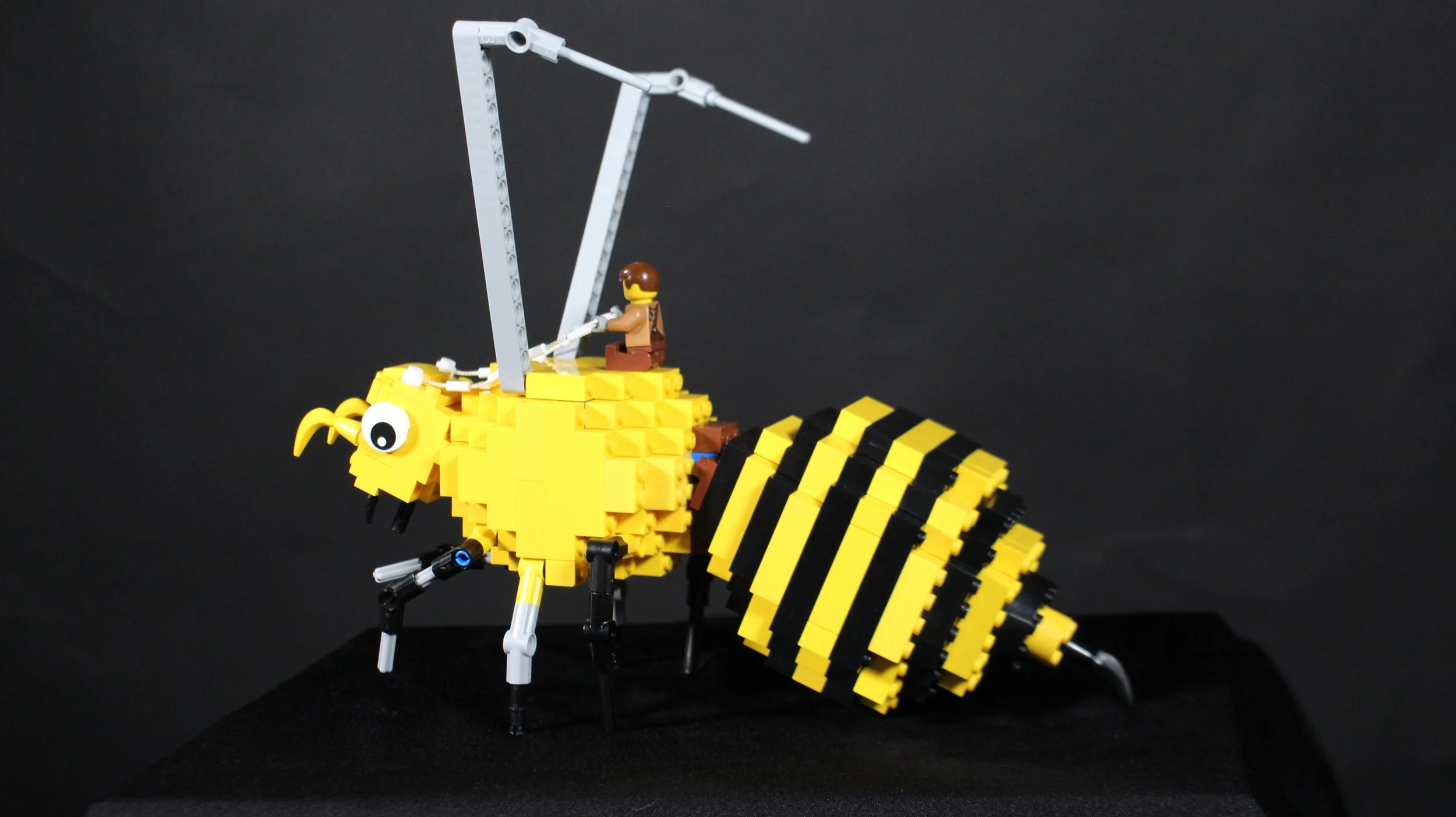 Lego Elective — TC Subject Selection Handbook