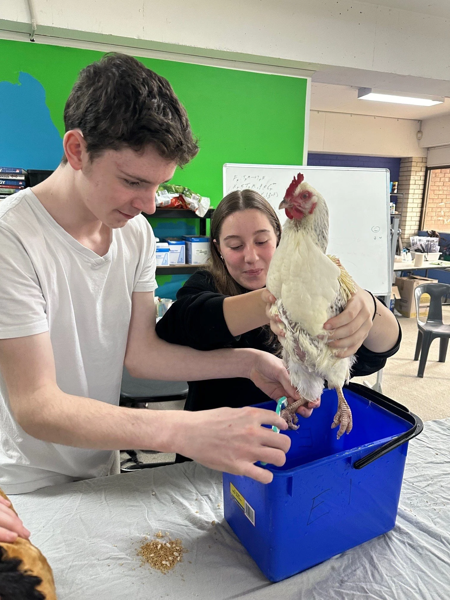 Animal Industry Skills — TC Subject Selection Handbook