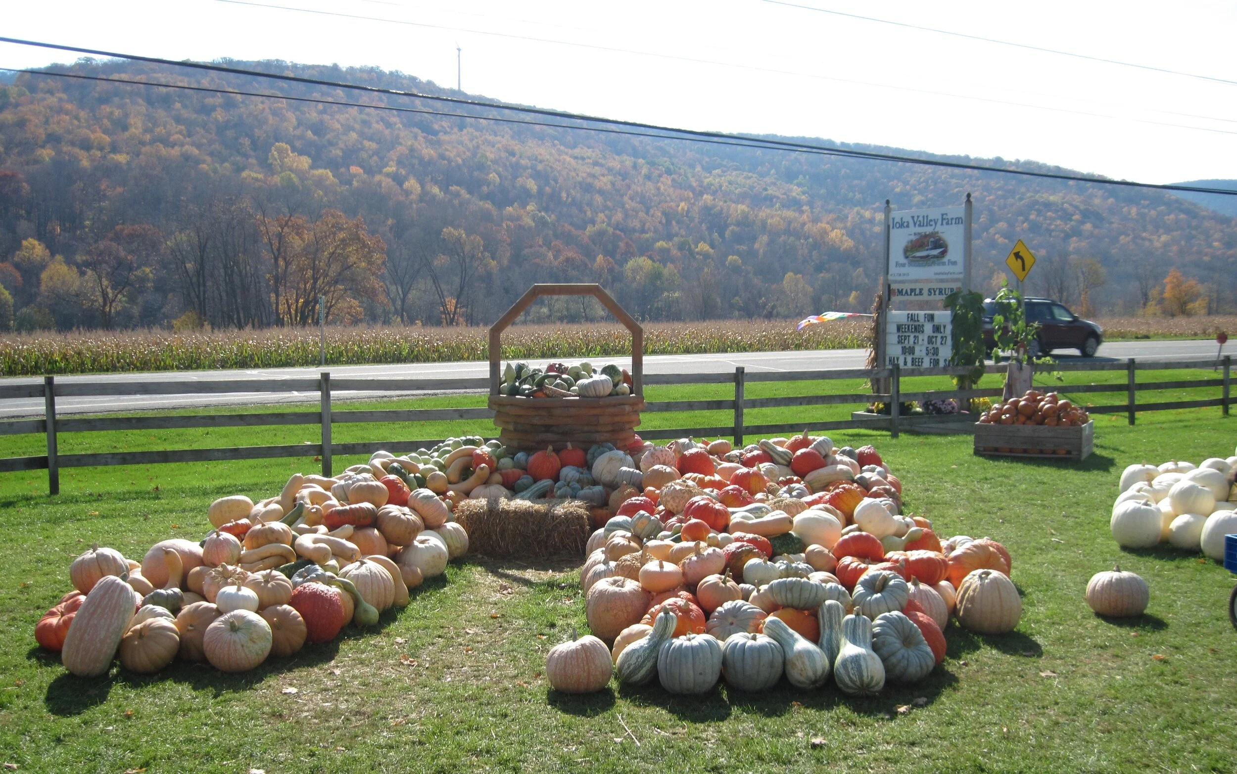 Ioka Valley Farm