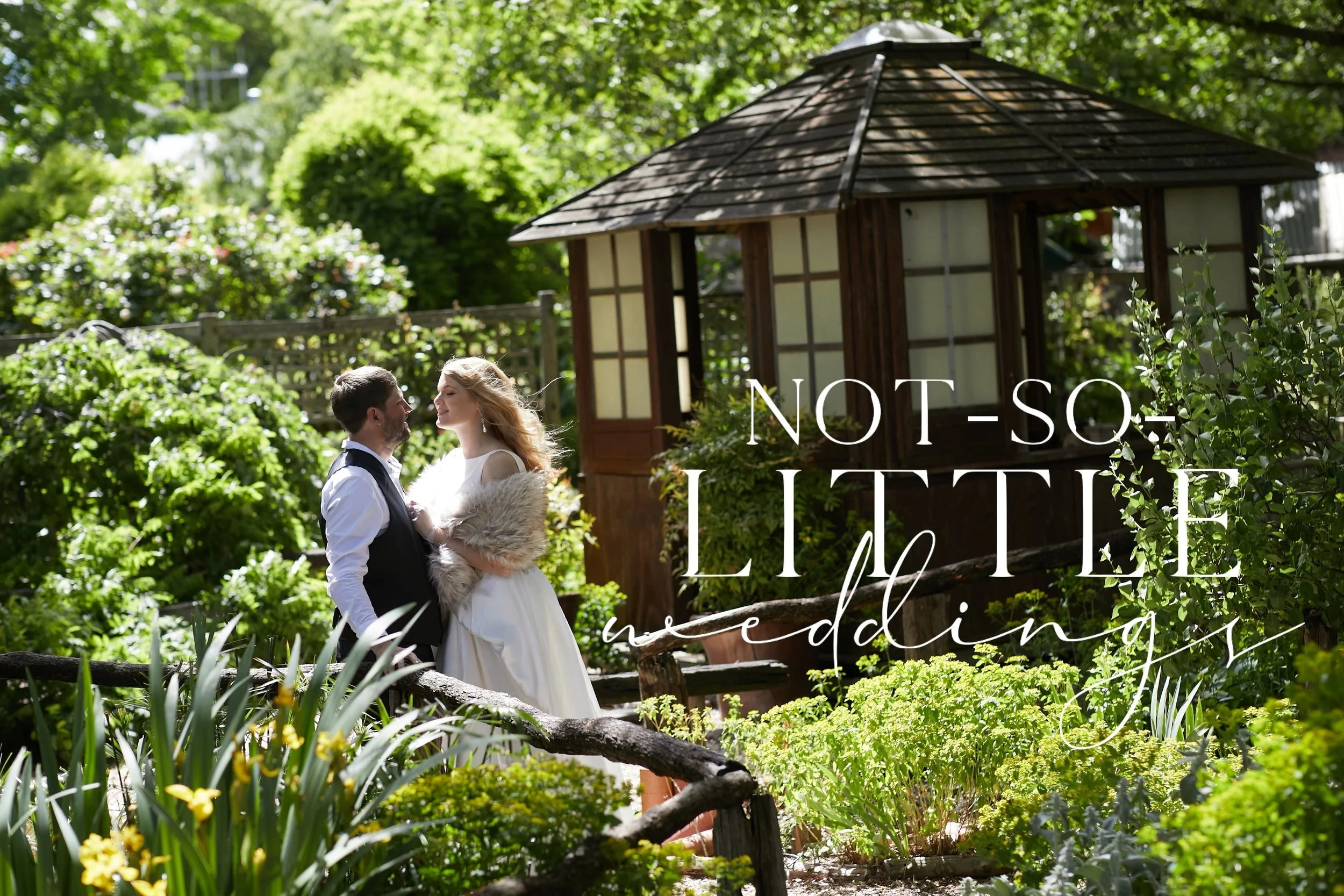 Not-So-Little Weddings — Little Weddings