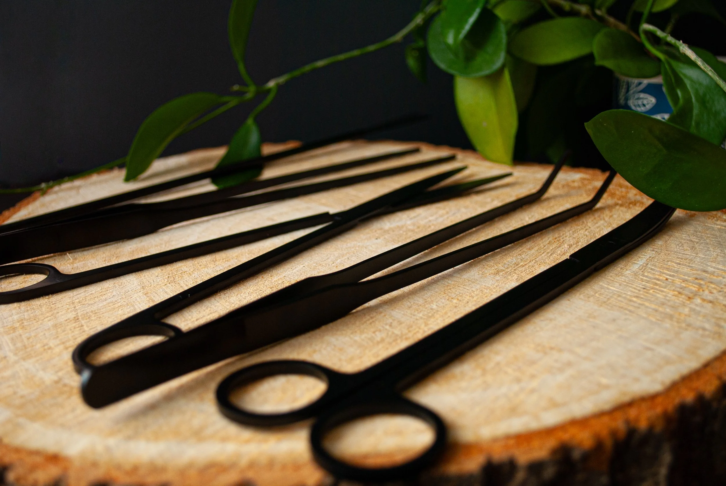 Shop — Microgreening