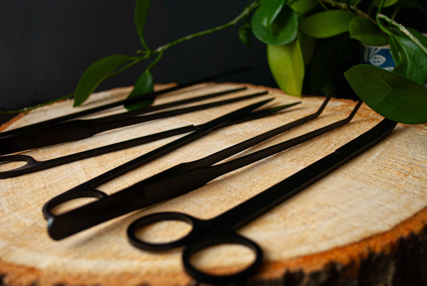 Shop — Microgreening