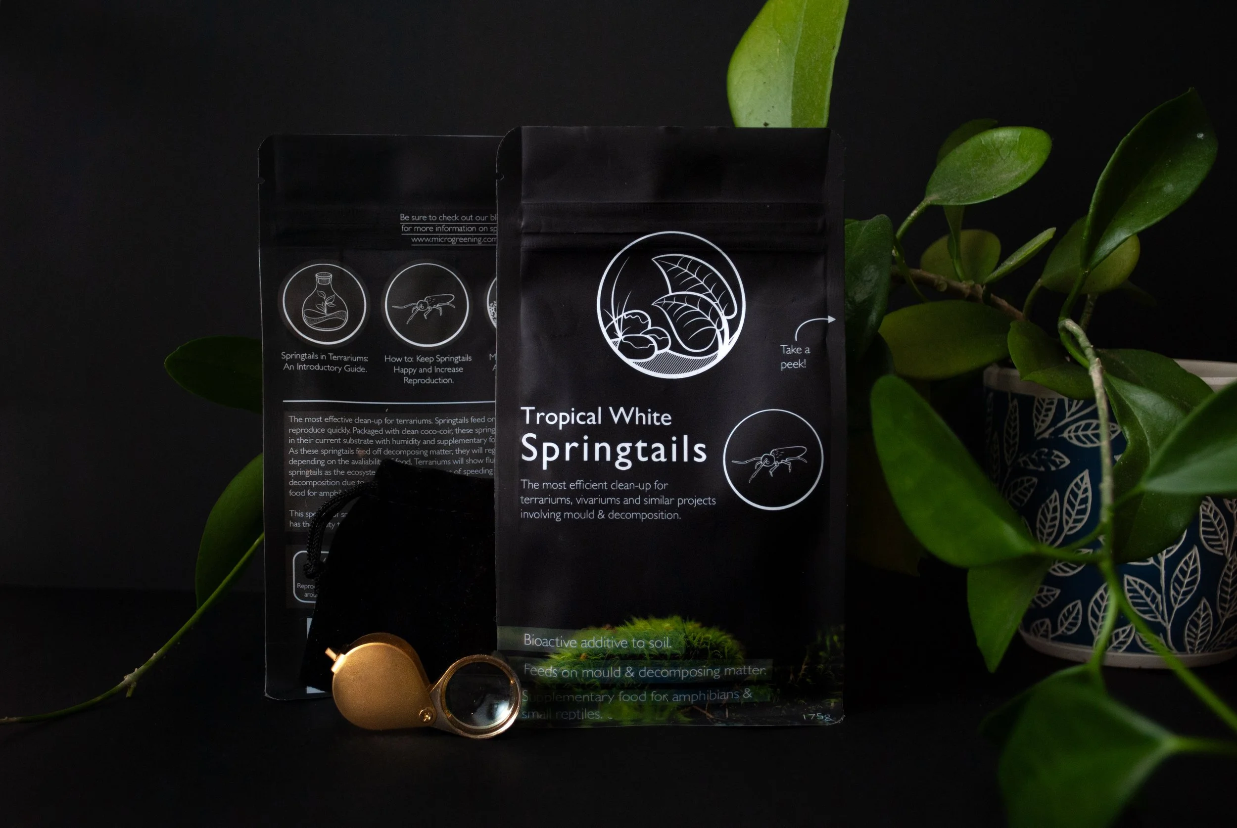 Shop — Microgreening