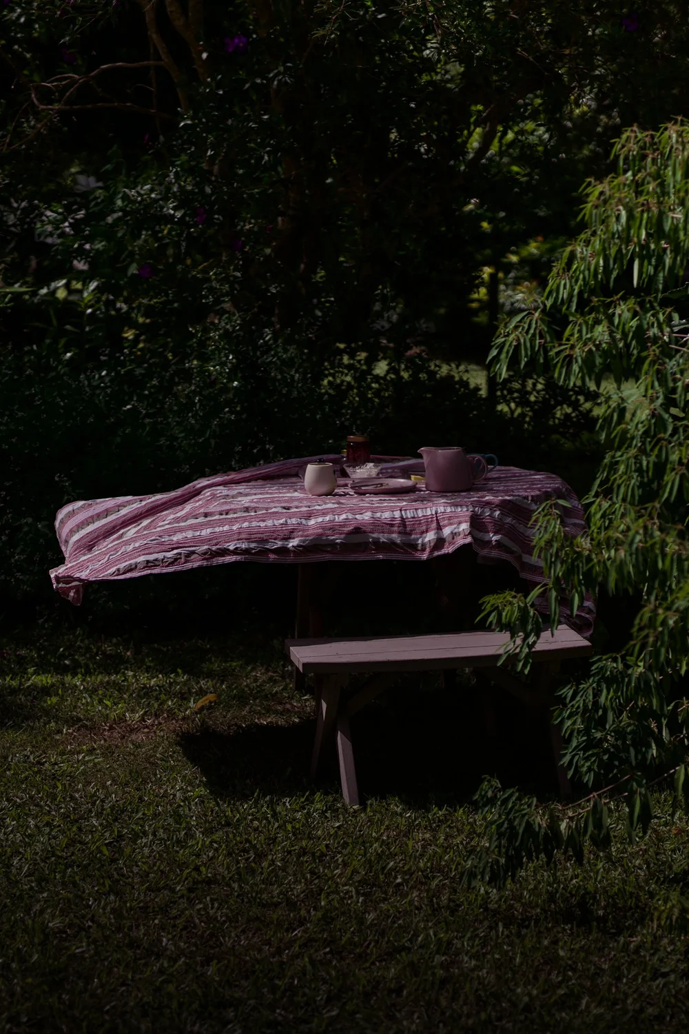 The Pink Palace — Christopher Allery