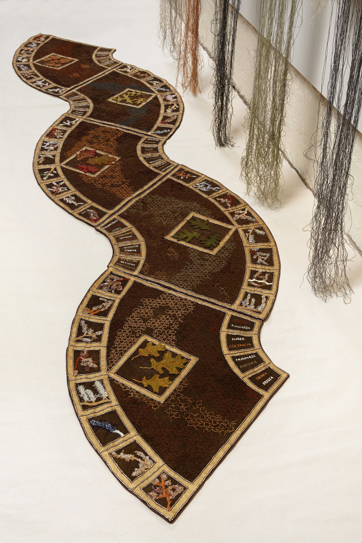 Hidden Threads: Fungal Plant Partnerships — Lindsay Olson - Art and Science