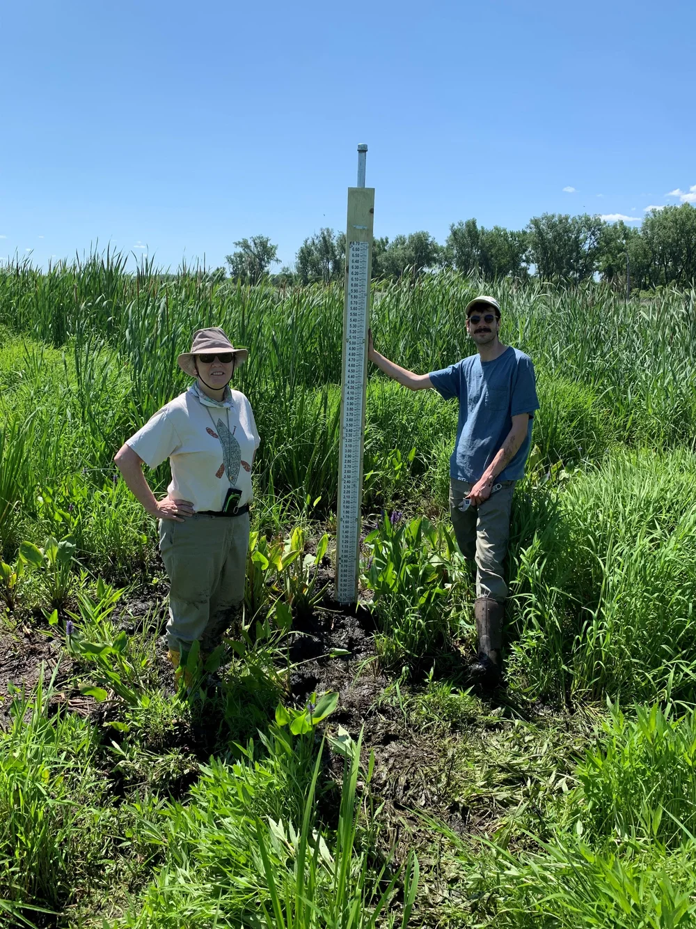 The Wetlands Initiative-Artist Residency — Lindsay Olson - Art and Science