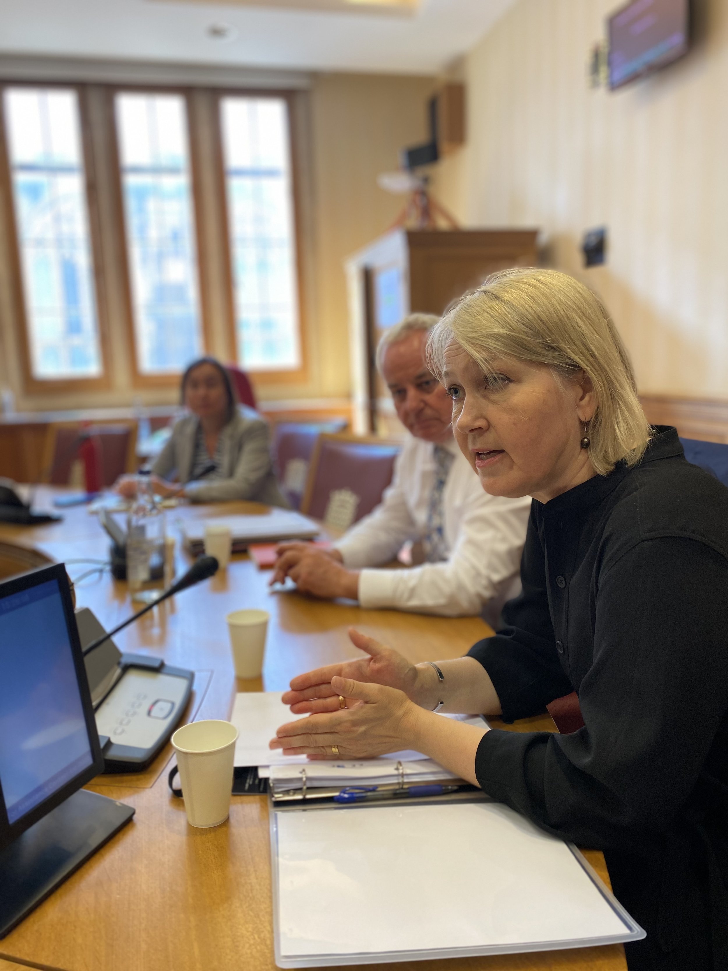 APPG hosts UNDP Director Ulrika Modéer in Parliament - 13 June 2023 ... APPG hosts UNDP Director Ulrika Modéer in Parliament - 13 June 2023 ...