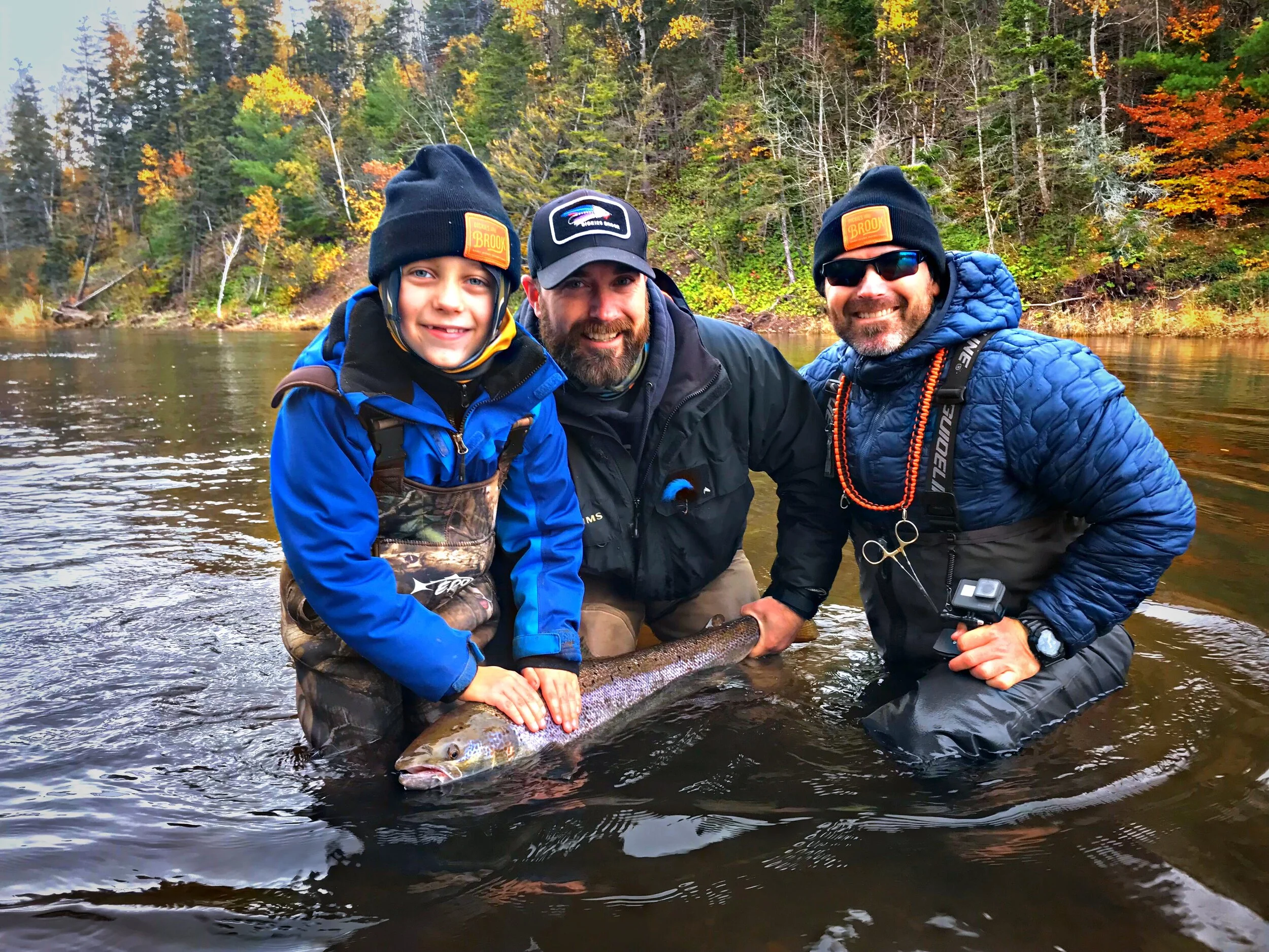 Join the Nova Scotia Salmon Association — Nova Scotia Salmon Association