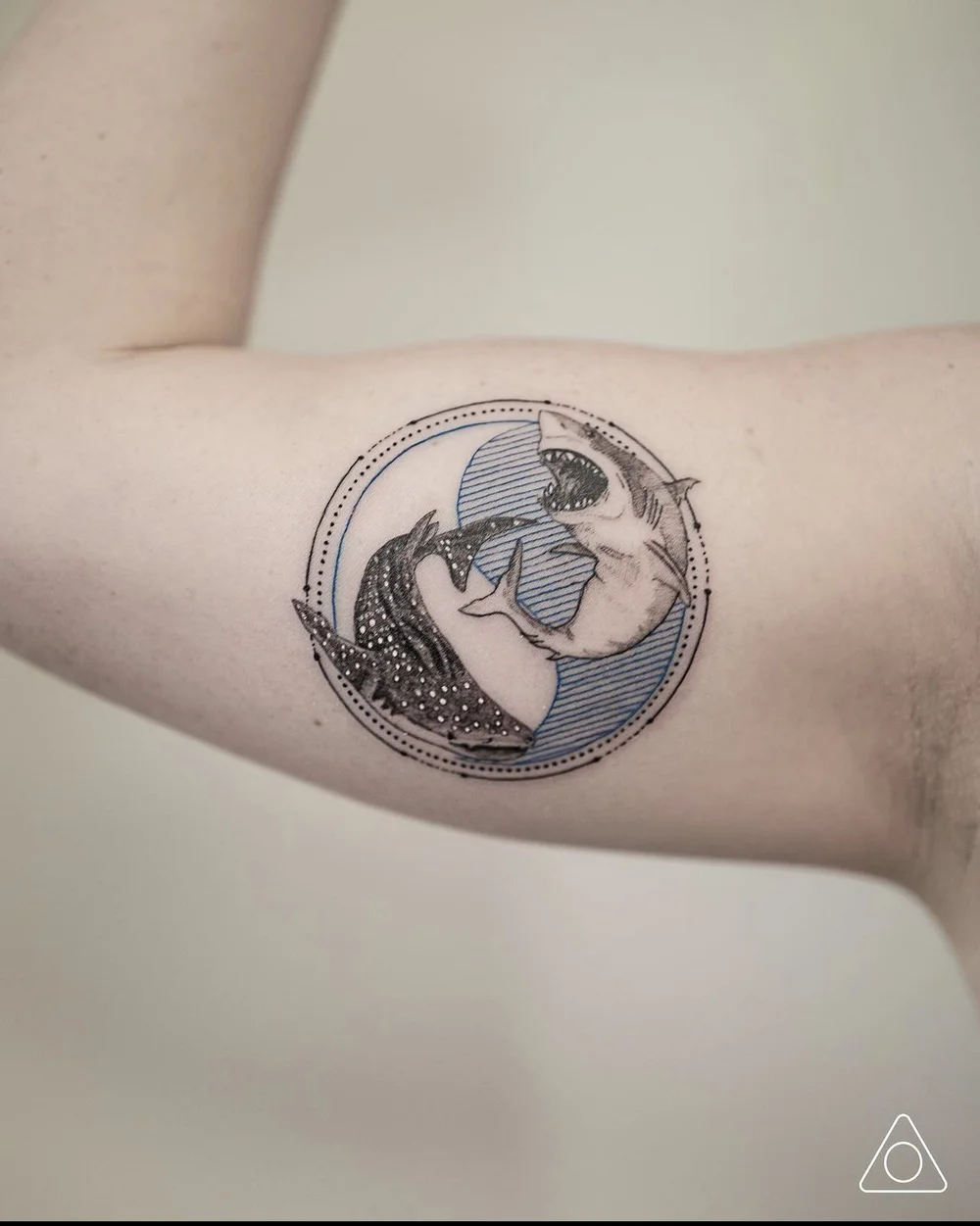 SHARK SIBLINGS — 1MM Tattoo Studio