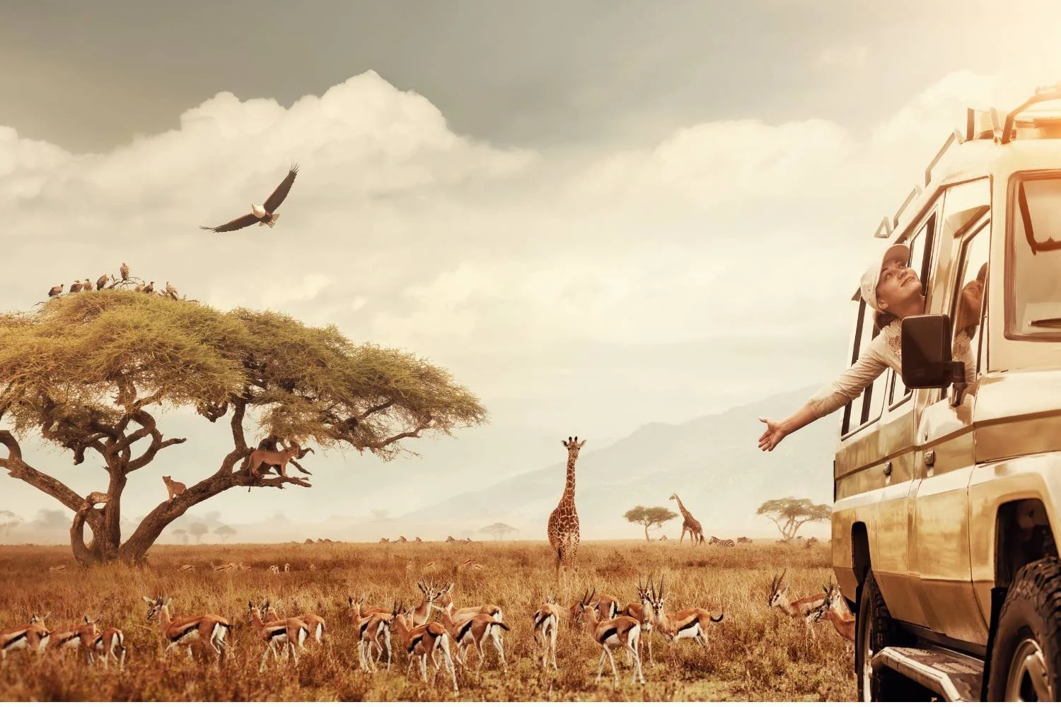 About Us — Wonder Travel Studio