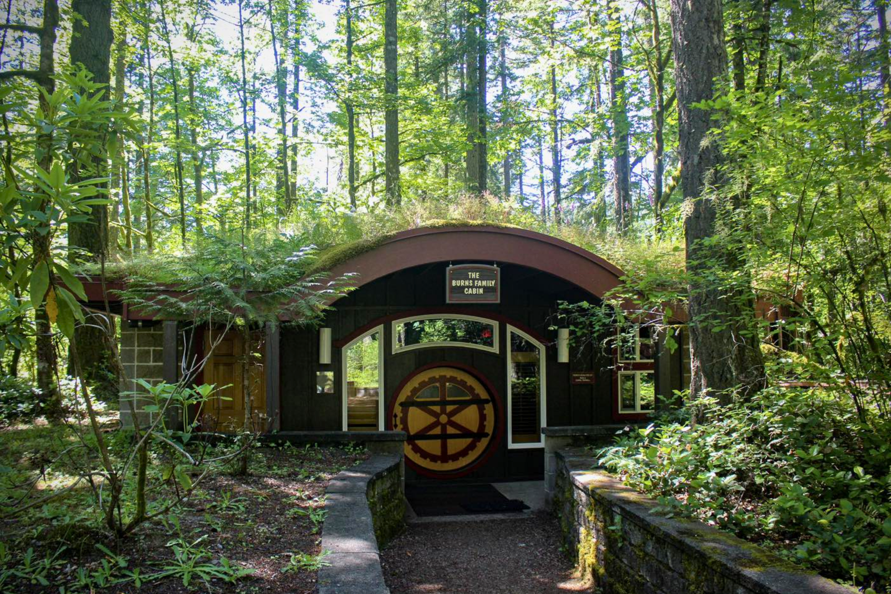 Camp Collins — LoveYourBrain