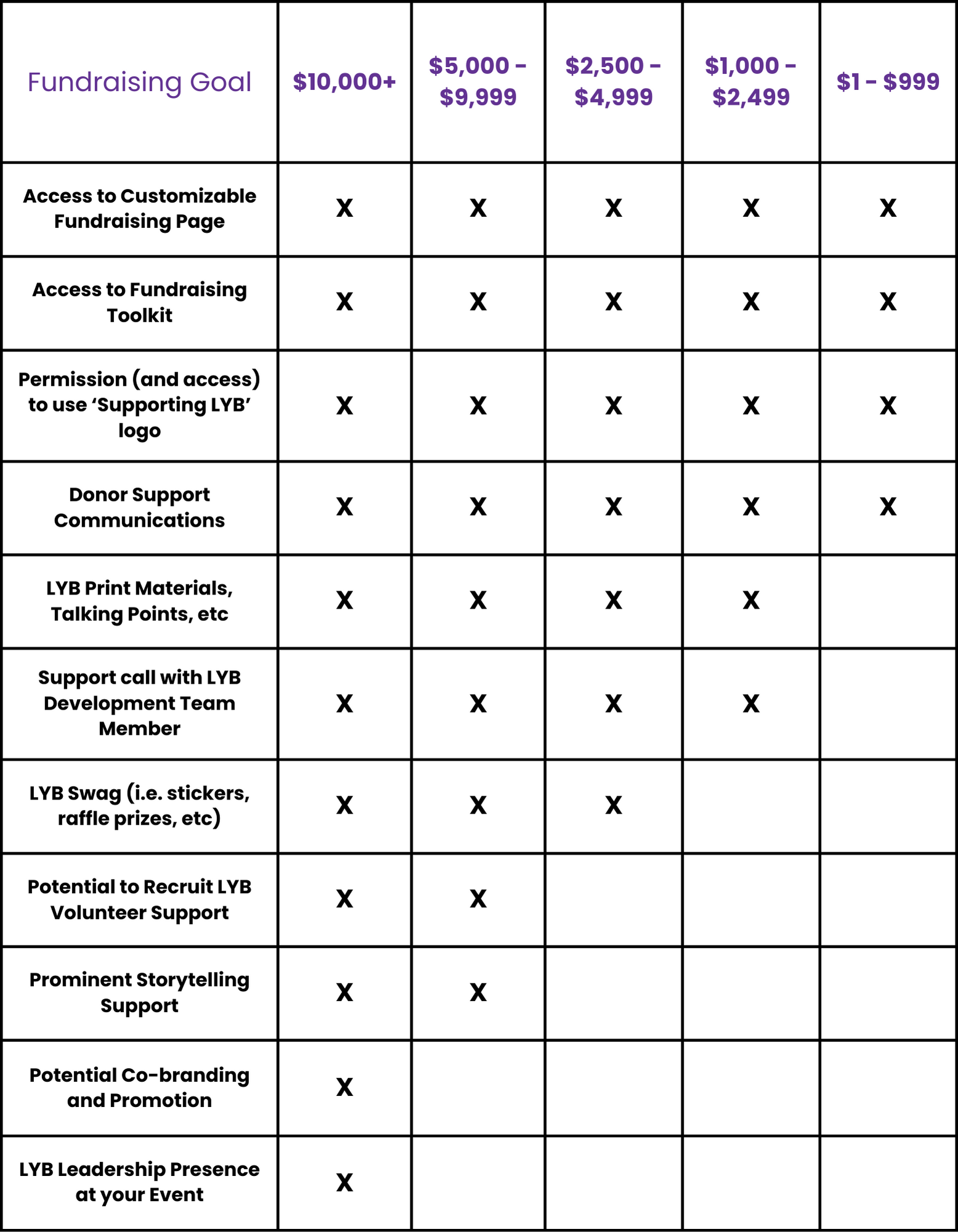 Fundraise — LoveYourBrain