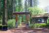 Camp Collins — LoveYourBrain