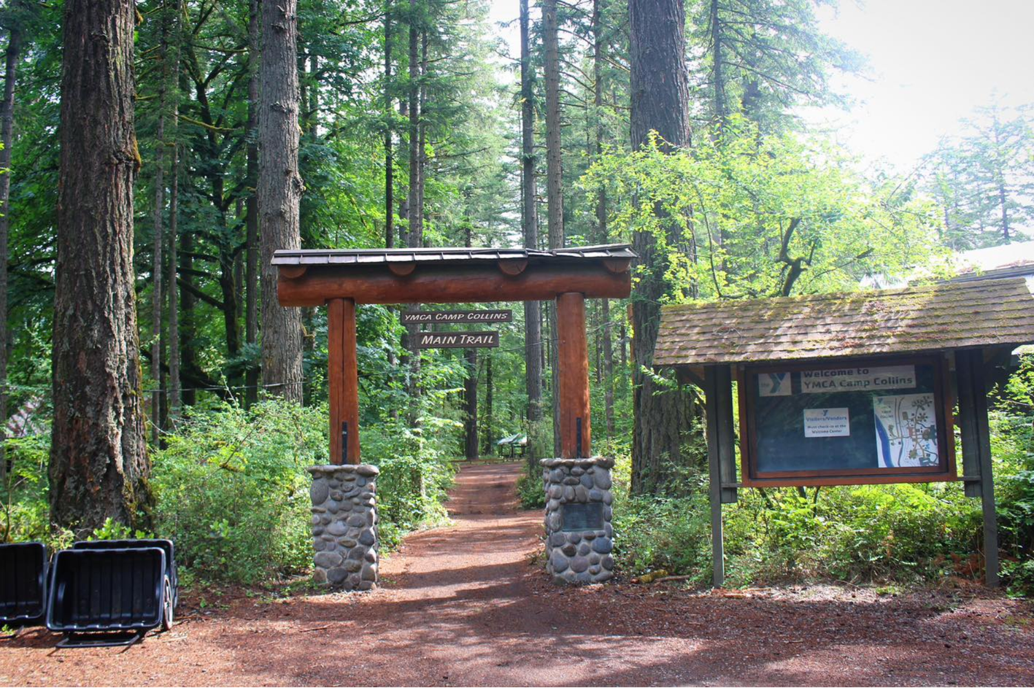 Camp Collins — LoveYourBrain