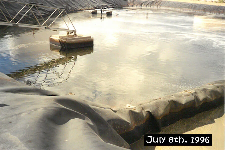 Gallery 2 — Bio-Stic