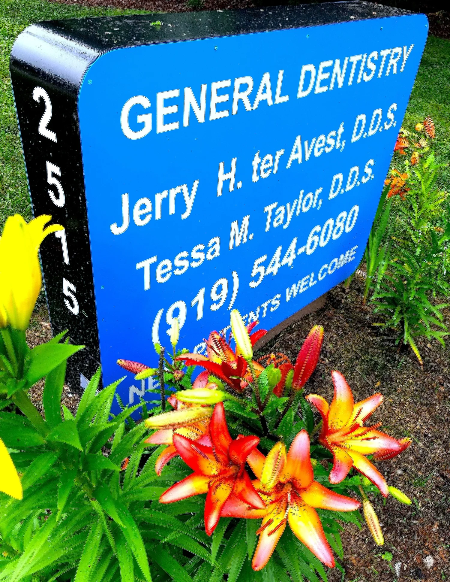 Dr. Jerry H ter Avest DDS