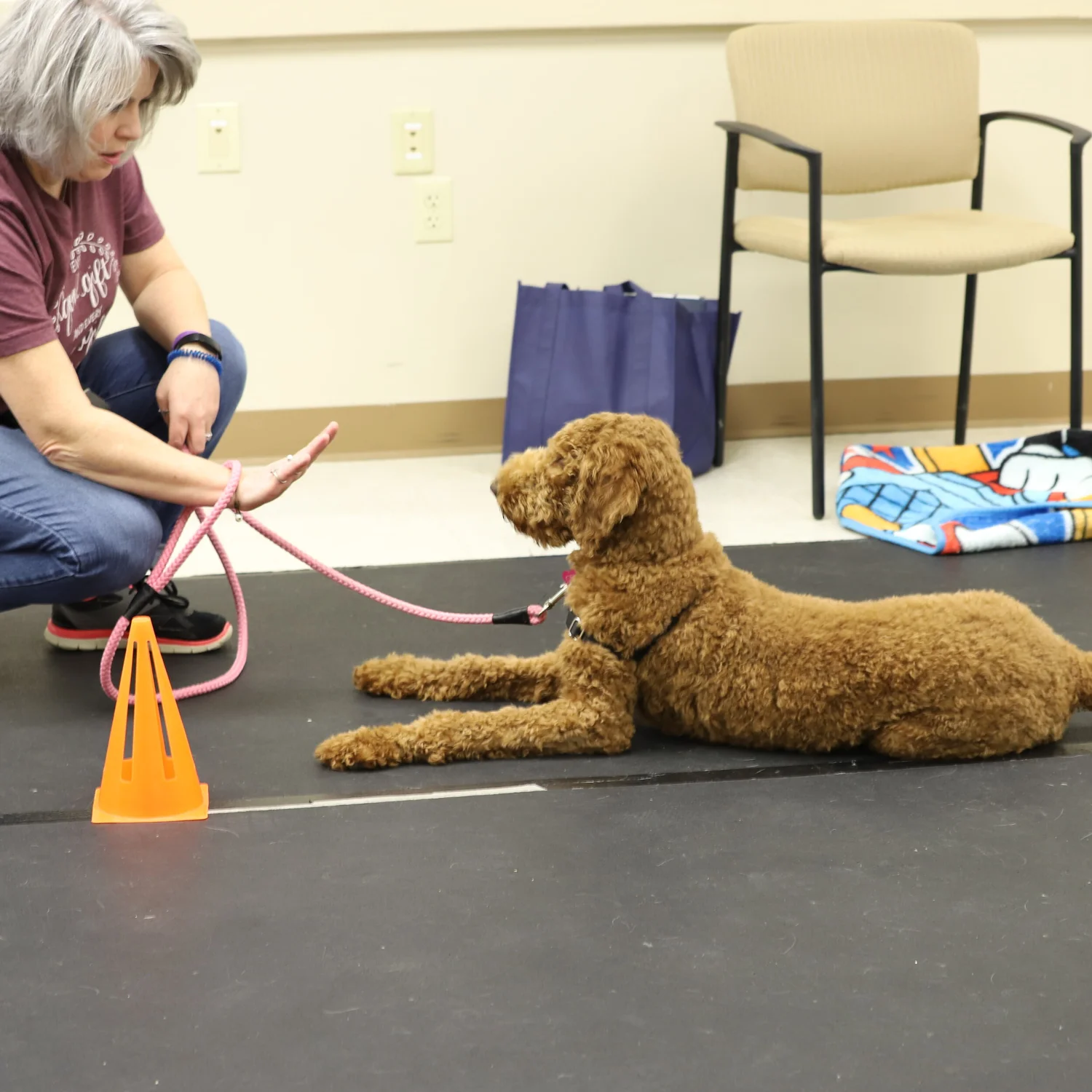Dog Training — Therapy Partners